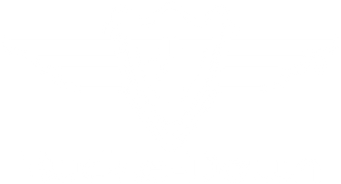 Fashion and Pet Accessories — Buckle-Down